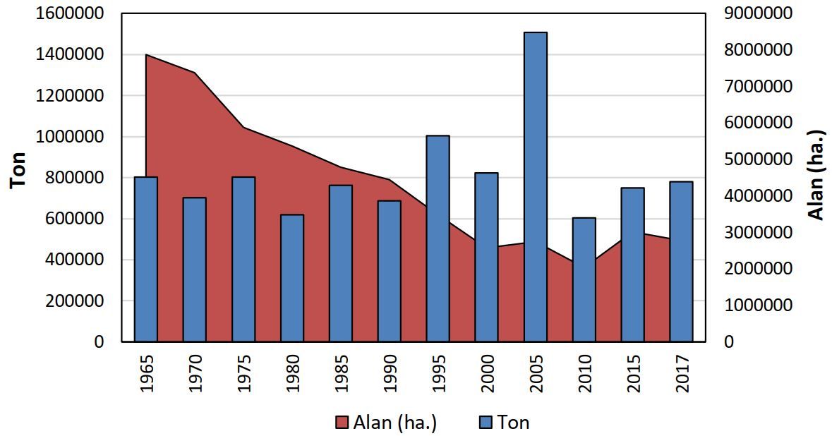 Dünyada ve Türkiye’de Keten ve Keten Lifi Üretimi - Filofibra Pazarlama ...